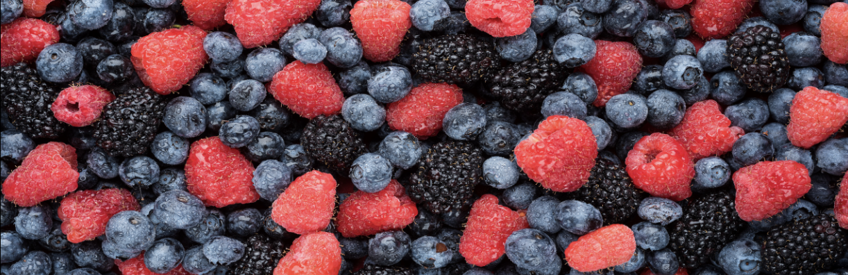 The Important Role of C02 - Precision Monitoring